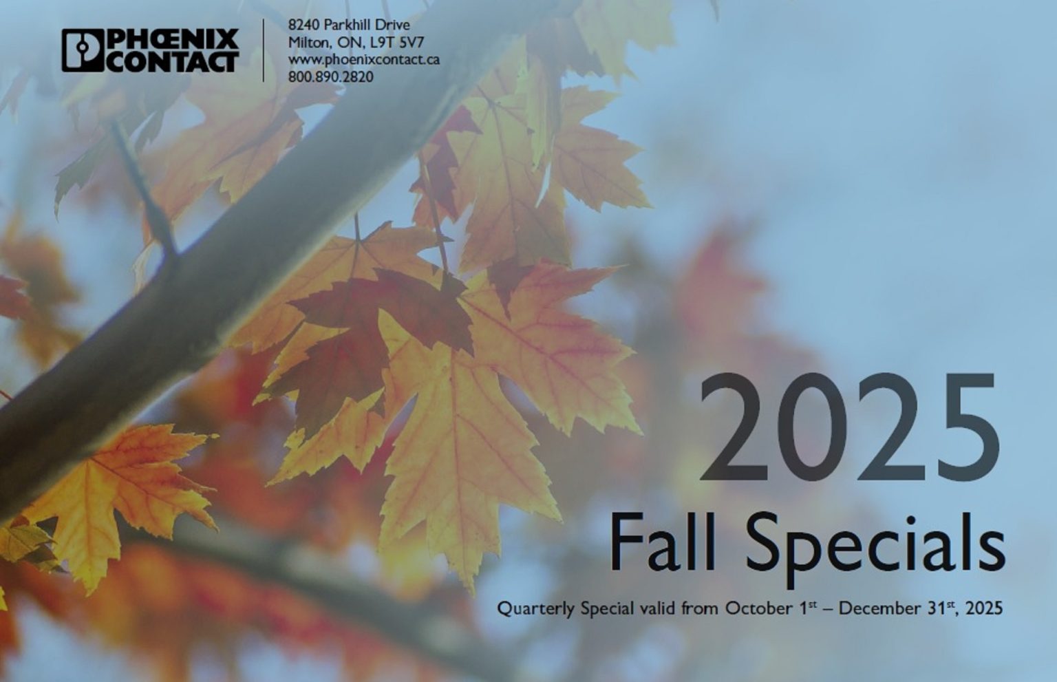 Phoenix Fall Specials – Utech Electronics